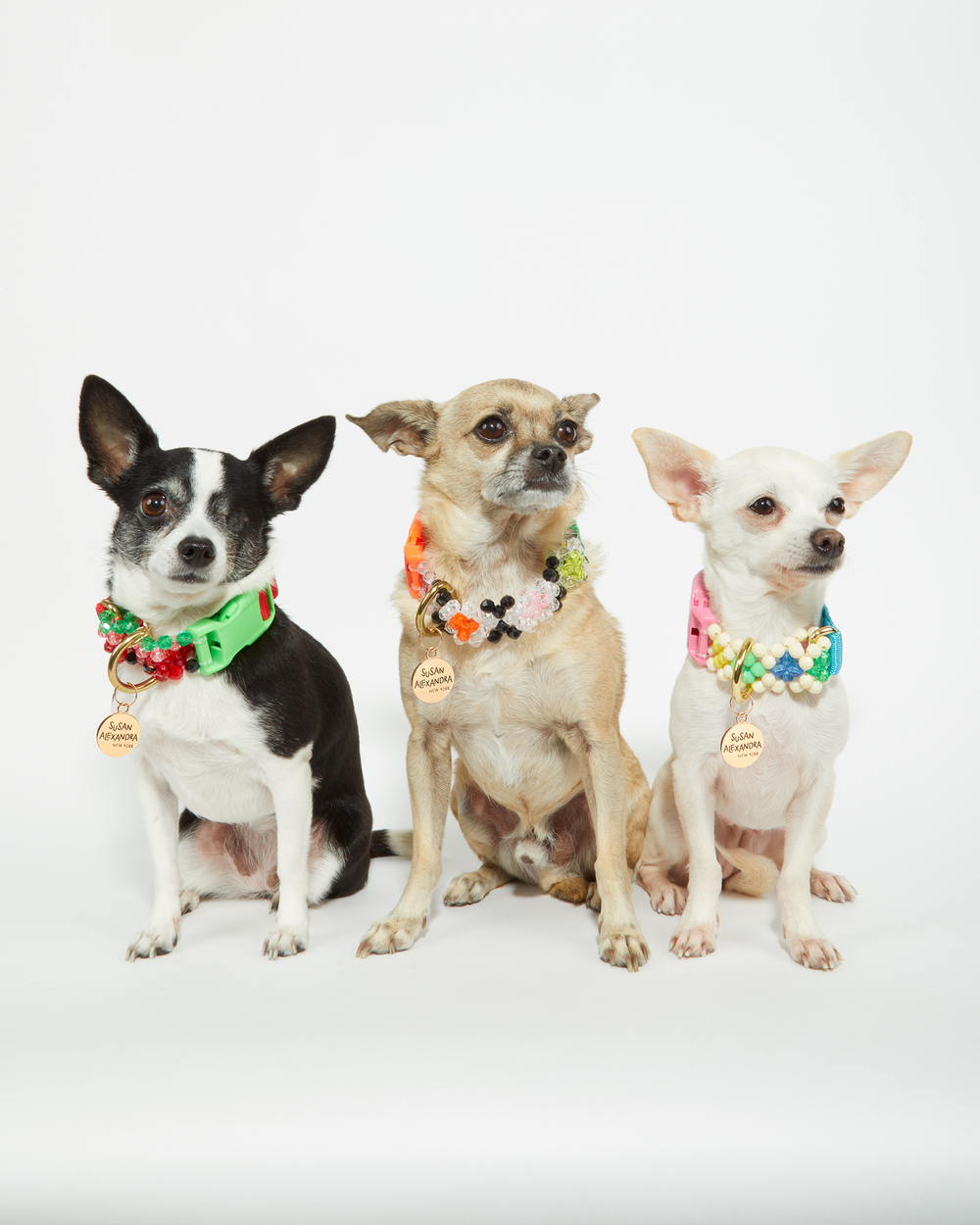 Seltzer Dog Collar – Susan Alexandra